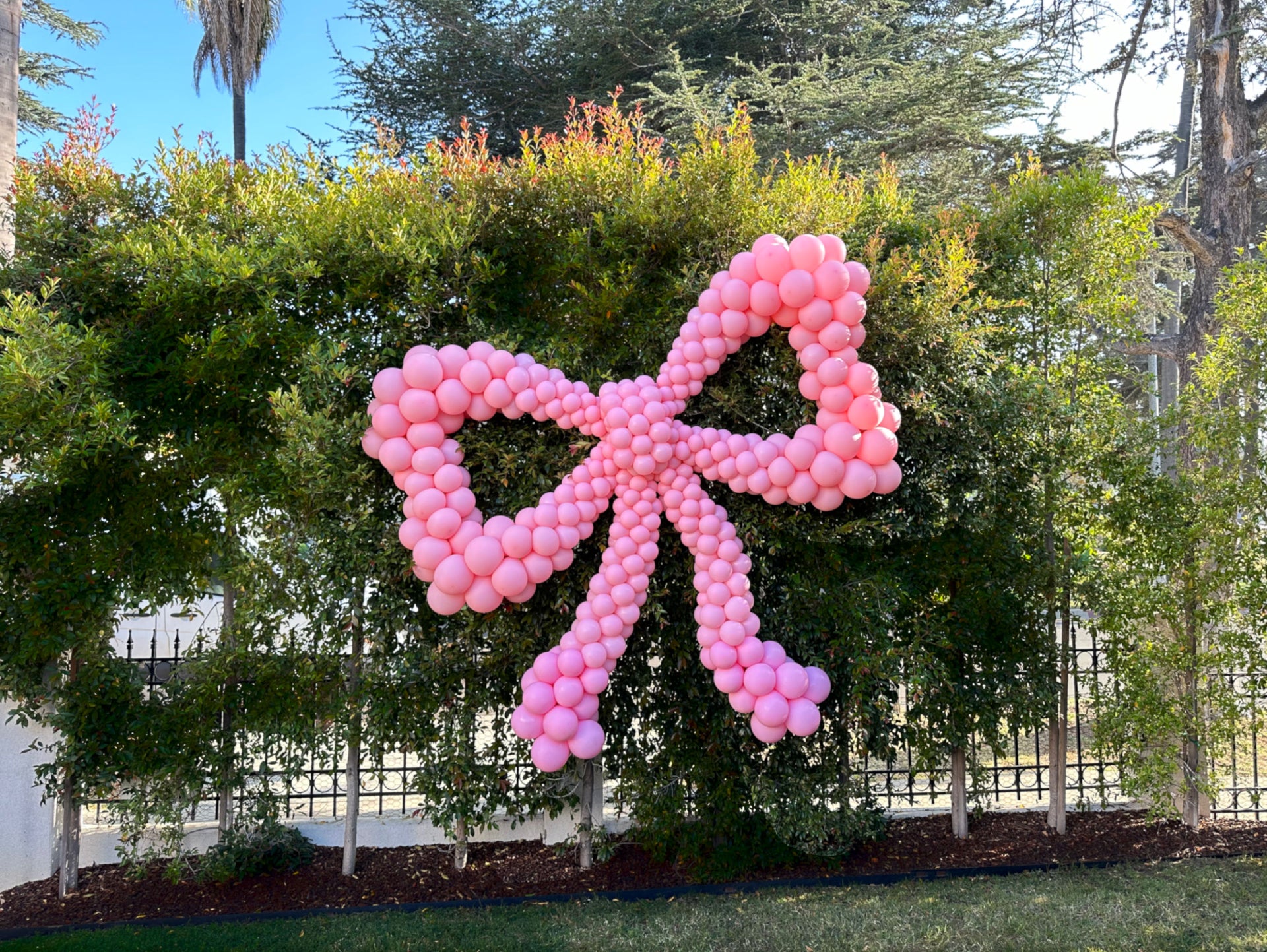 The Best Balloon Store – Balloon Celebrations Inc